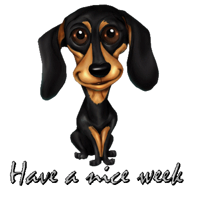 Week GIF - Find & Share on GIPHY