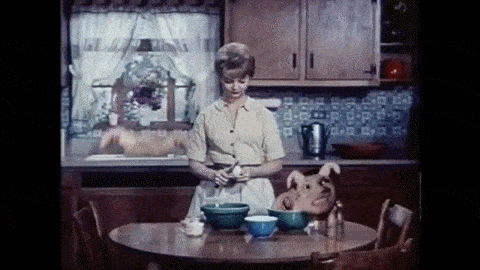 Dinner Im GIF - Find & Share on GIPHY