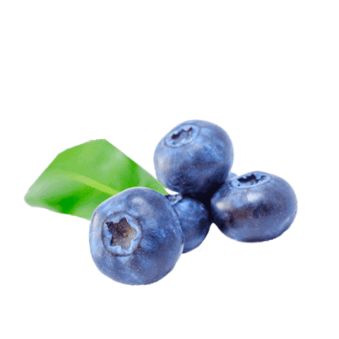 Blueberry Sticker by Linea Alimentos for iOS & Android | GIPHY
