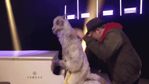 Piano Mania GIF by Fall Out Boy - Find & Share on GIPHY