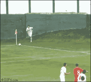 Goal GIF - Find & Share on GIPHY