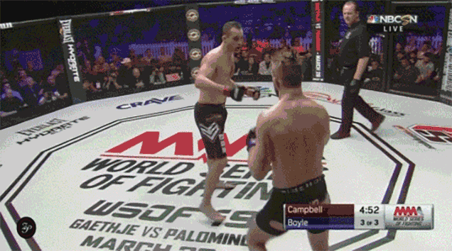 Mma Find And Share On Giphy