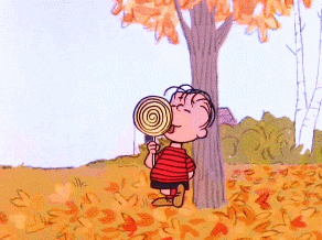 Charlie Brown Autumn GIF - Find & Share on GIPHY