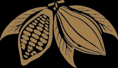 Cocoa Cacao GIF by Chocolaterie de Puyricard - Find & Share on GIPHY