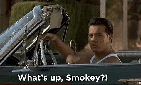 Smokey GIF - Find & Share on GIPHY