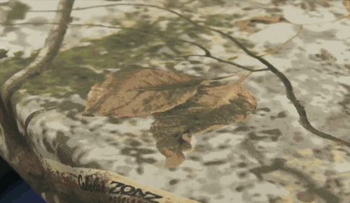 Art GIF - Find & Share on GIPHY