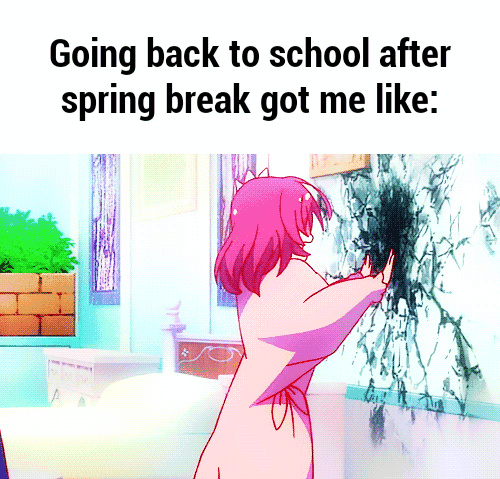 Back To School Find And Share On Giphy