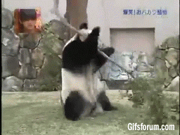 Fail Kung Fu Panda GIF - Find & Share on GIPHY