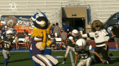 Passing Minnesota Vikings GIF by Viktor the Viking - Find & Share on GIPHY