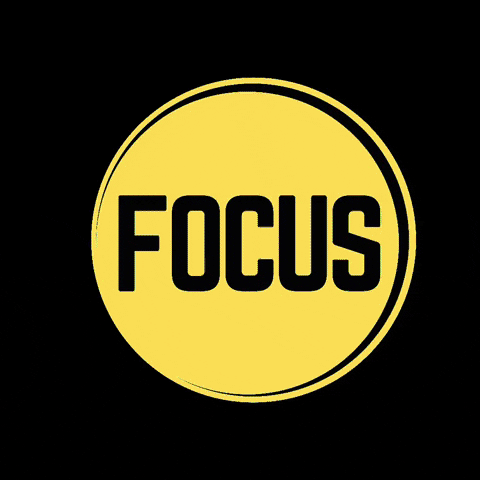 Focus Martial Arts and Fitness GIF - Find & Share on GIPHY