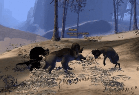 Guild Wars 2 Memes GIFs - Find & Share on GIPHY