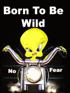 Wild GIF - Find & Share on GIPHY