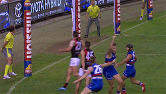 Aussie Rules Football Sport GIF by Western Bulldogs - Find & Share on GIPHY
