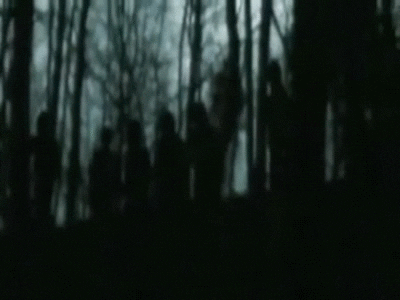 Shadow GIF - Find & Share on GIPHY