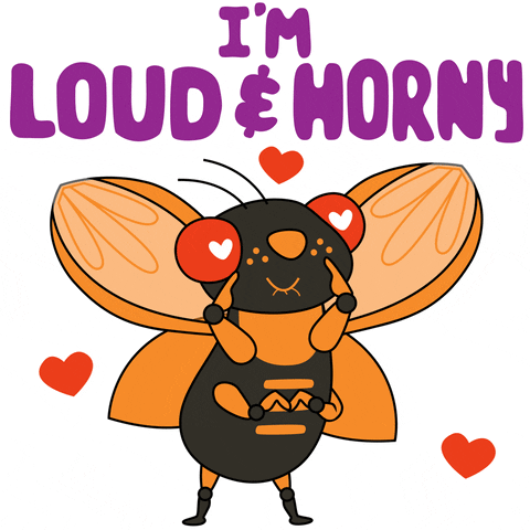 Bug Cicada GIF by Bare Tree Media - Find & Share on GIPHY