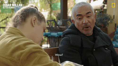Cesar Millan GIF by National Geographic Channel - Find & Share on GIPHY
