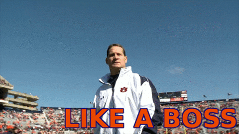 Like A Boss Gif