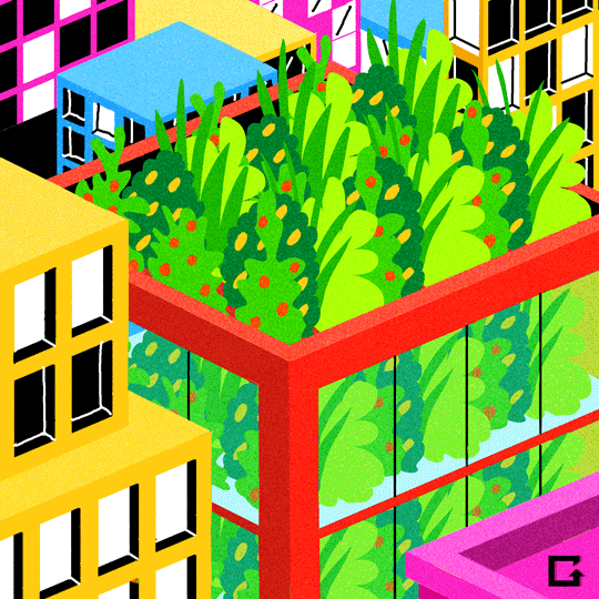 Japan Farming Gif By gif - Find & Share on GIPHY