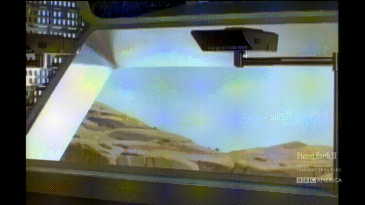 Cubicle GIFs - Find & Share on GIPHY