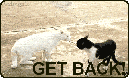 Get Out Animated Gif