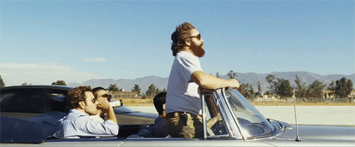 The Hangover GIF - Find & Share on GIPHY