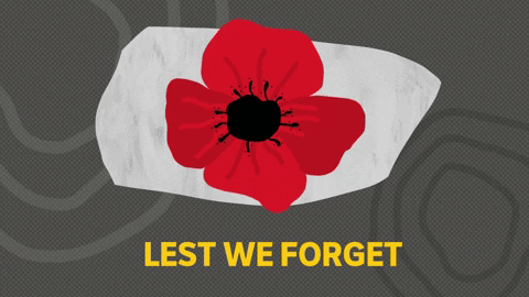 Anzac Anzacday GIF by ABC Indigenous - Find & Share on GIPHY