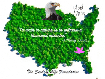 Food Grow GIF by The Seed of Life Foundation - Find & Share on GIPHY