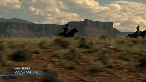 7 YA Westerns For Fans of Westworld