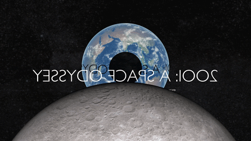 2001: A Space Odyssey Need Area Shadow GIF by hateplow - Find & Share ...