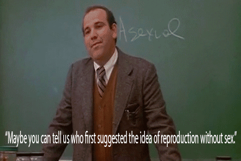 CPE1704TKS > General Discussion > AR15.COM