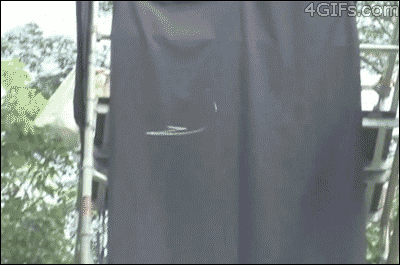 Flying Snakes don't actually fly, they glide by launching into the air ...