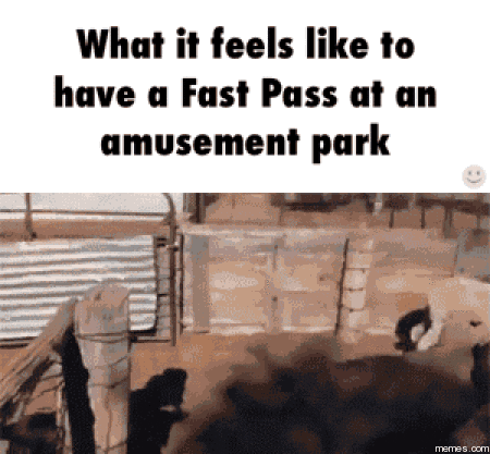 Pass GIF - Find & Share on GIPHY