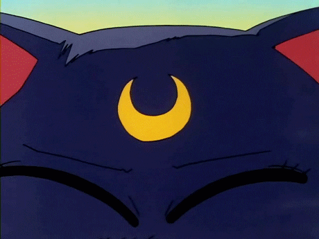 Half Moon GIFs - Find & Share on GIPHY