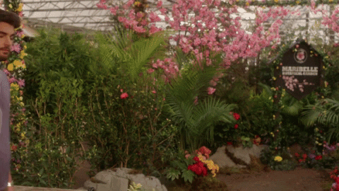 Spring Fever Nod GIF by Hallmark Channel - Find & Share on GIPHY