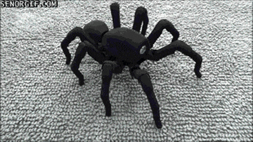 Spider GIF - Find & Share on GIPHY