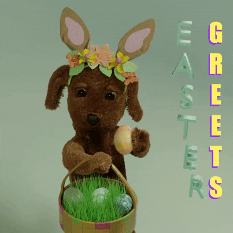 Easter Bunny Dog GIF - Find & Share on GIPHY