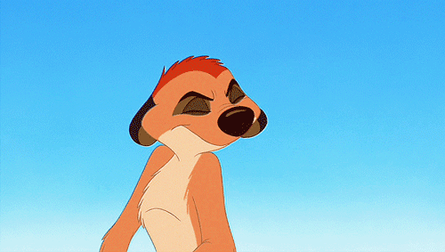 Timon GIFs - Find & Share on GIPHY