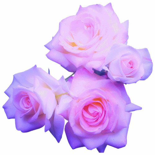Pastel Find And Share On Giphy
