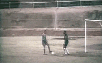 Competition GIF - Find & Share on GIPHY