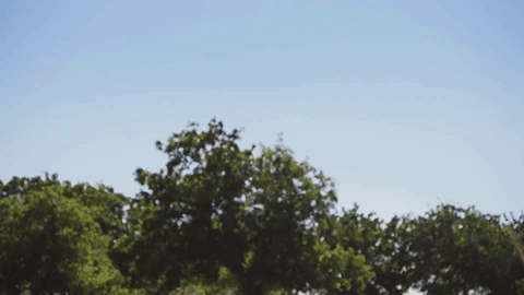 Episode 5 Open Relationship GIF by Portlandia - Find & Share on GIPHY
