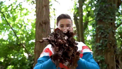 Summer Boom GIF by FOURCE - Find & Share on GIPHY