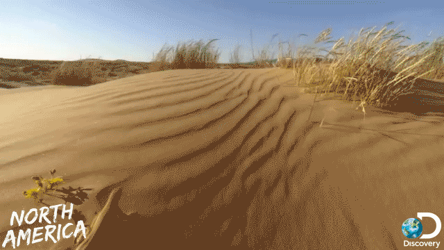 Discovery Channel GIF - Find & Share on GIPHY