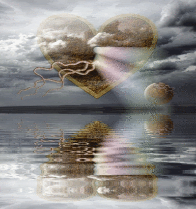 Reflection GIF - Find & Share on GIPHY