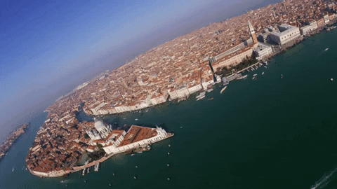 - Find & Share on GIPHY