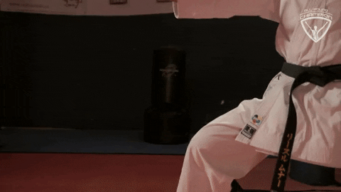 Karate Arc GIF by All-Round Champion - Find & Share on GIPHY