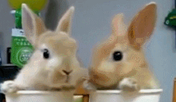 Friendly GIF - Find & Share on GIPHY