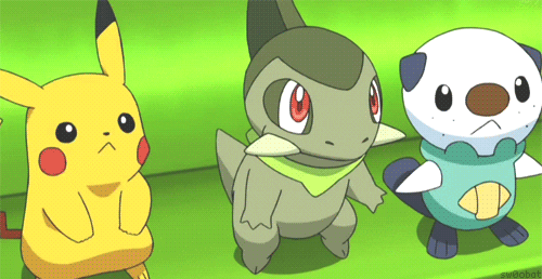 Oshawott Bumps Into Axew GIFs - Find & Share on GIPHY