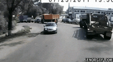 But Seriously Stop Texting While Driving GIFs - Get the best GIF on GIPHY