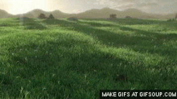 Field GIF - Find & Share on GIPHY