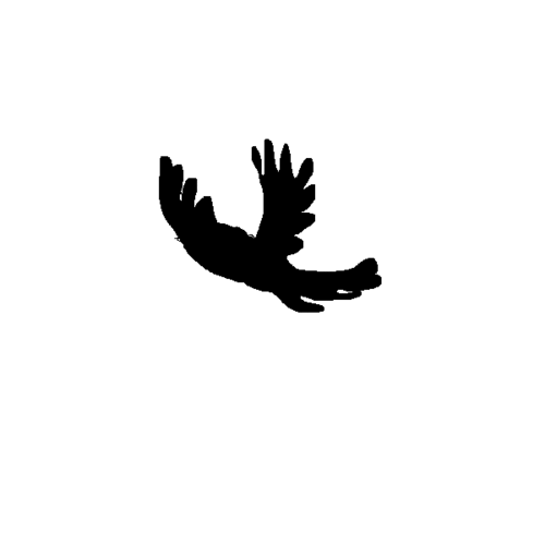 As The Crow Flies GIFs - Find & Share on GIPHY